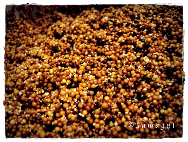 Sprouted Ragi Dosa – Samagni