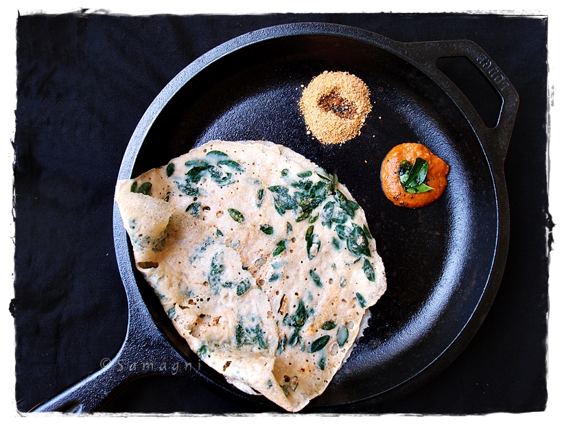 Murinja Ila Dosa (Drumstick Leaves Dosa) – Samagni