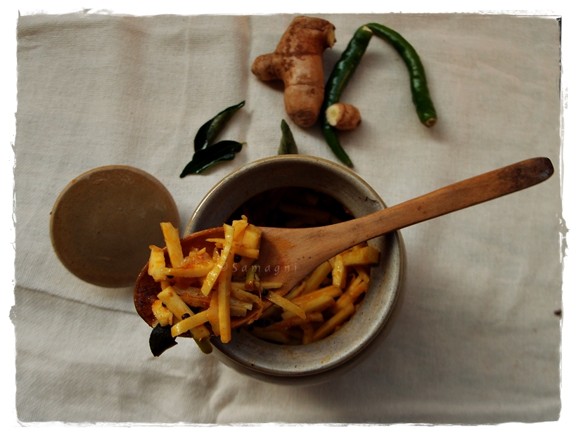 Mango Ginger (Aam Haldi) Pickle – Samagni